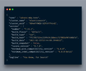 Getting started with Elasticsearch 7 in Python